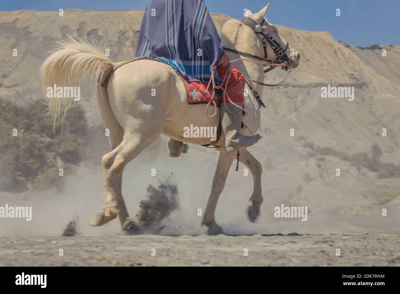 Rodeo champion hi-res stock photography and images - Alamy