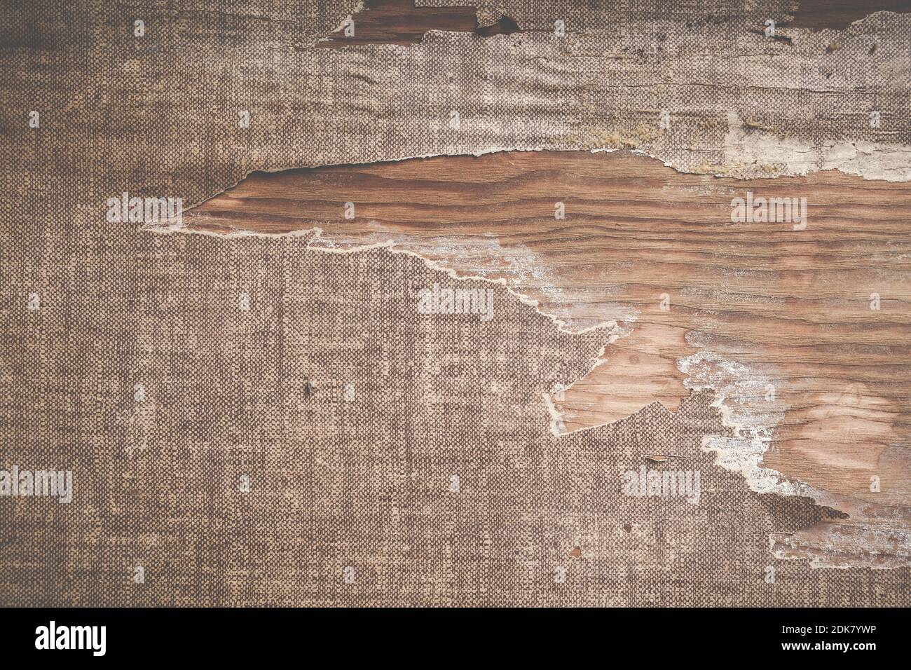 Torn grain wood hi-res stock photography and images - Alamy
