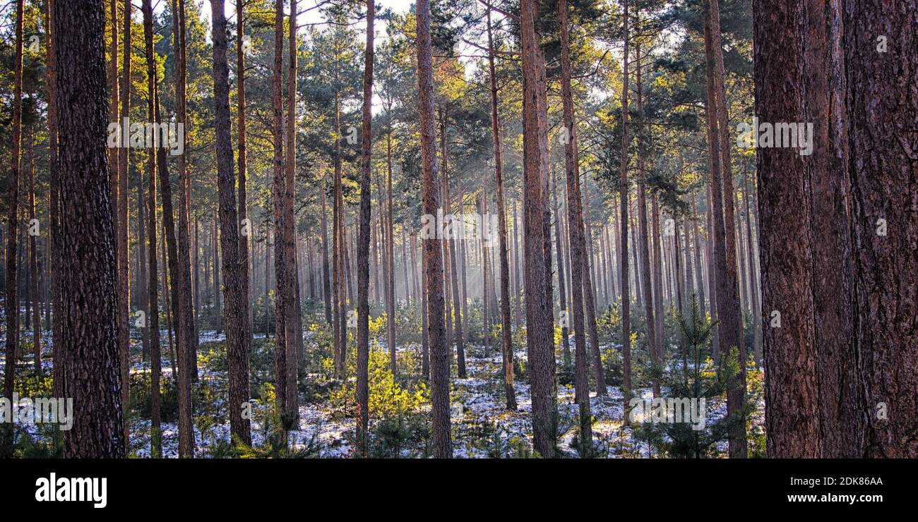 Battenberg germany hi-res stock photography and images - Alamy