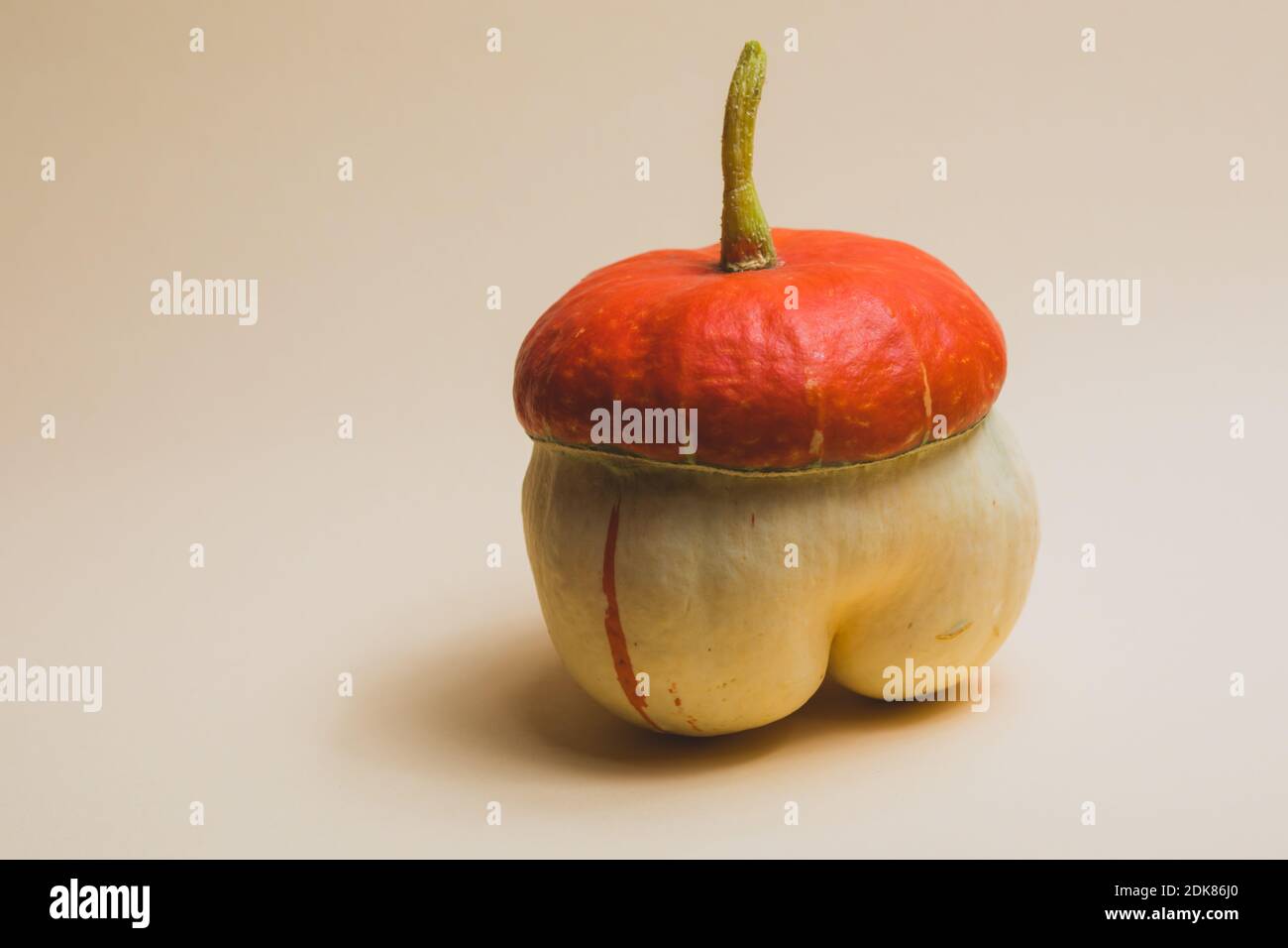 Fancy looking pumpkin isolated on white background Stock Photo - Alamy