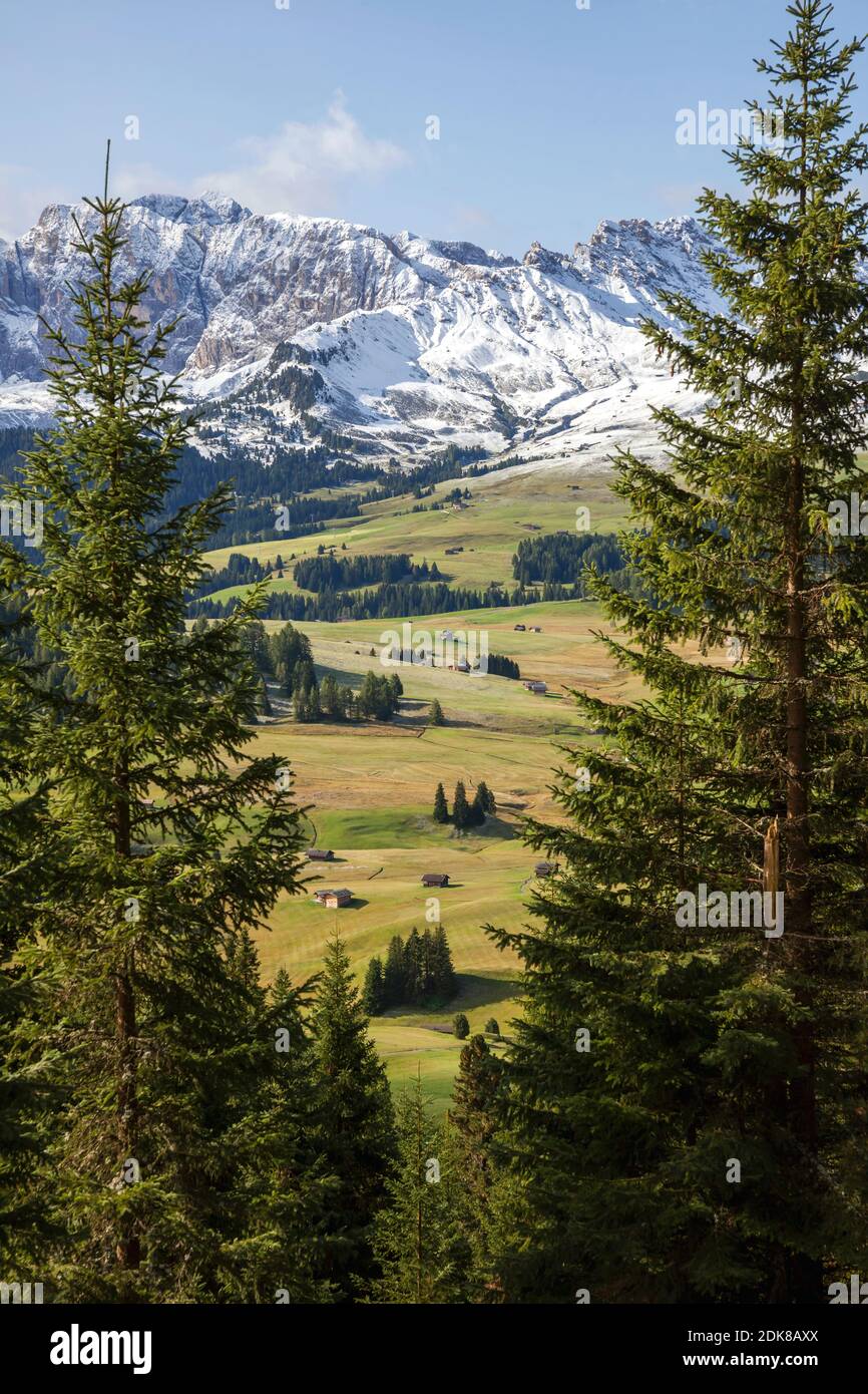 Alps meadow snow vertical hi-res stock photography and images - Alamy