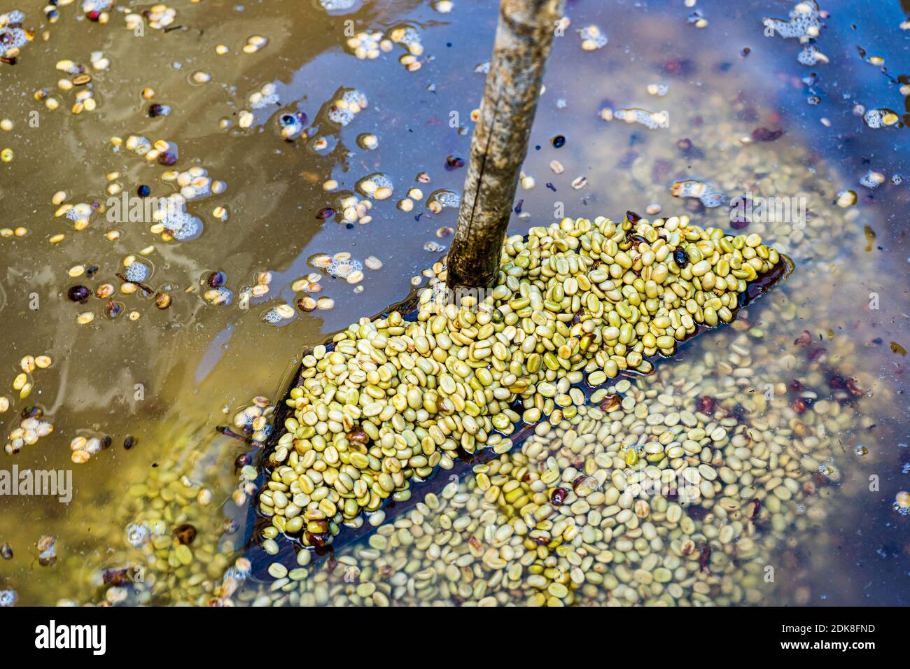 Floating method hi-res stock photography and images - Alamy