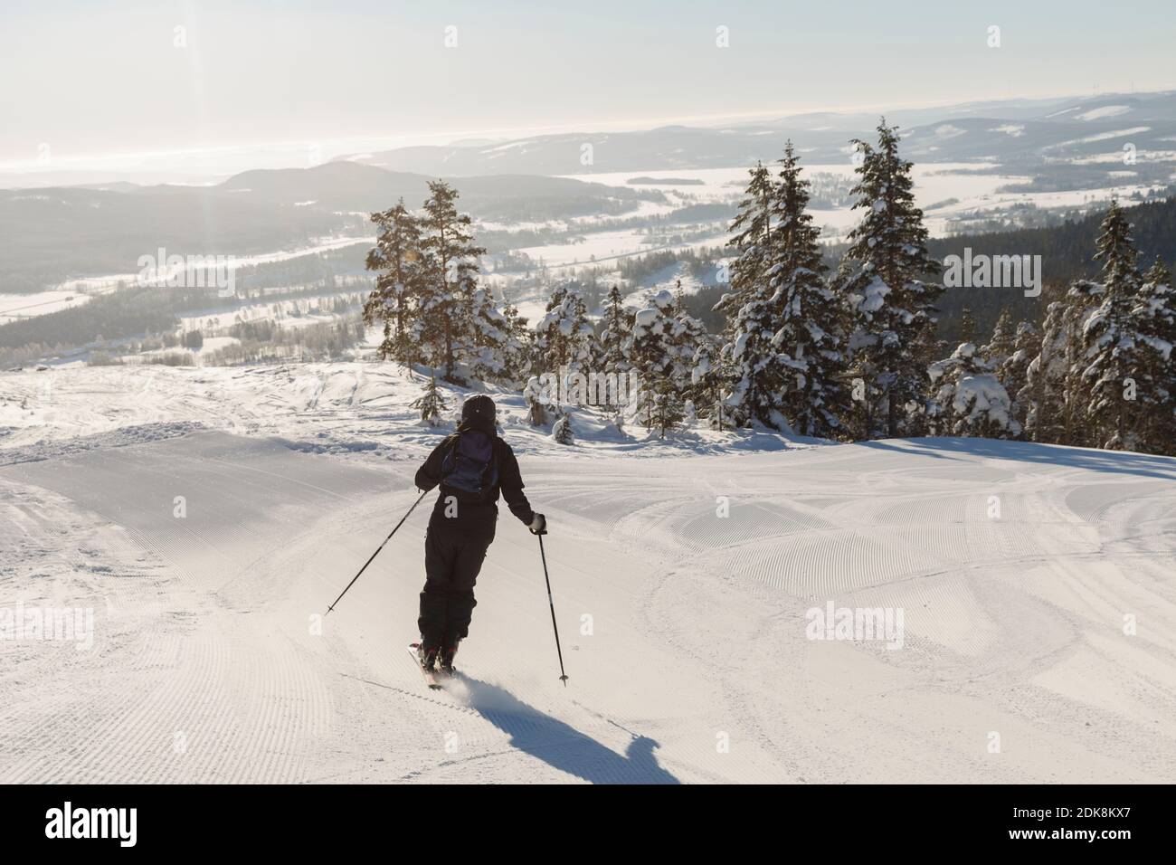 Rear view of skier Stock Photo - Alamy
