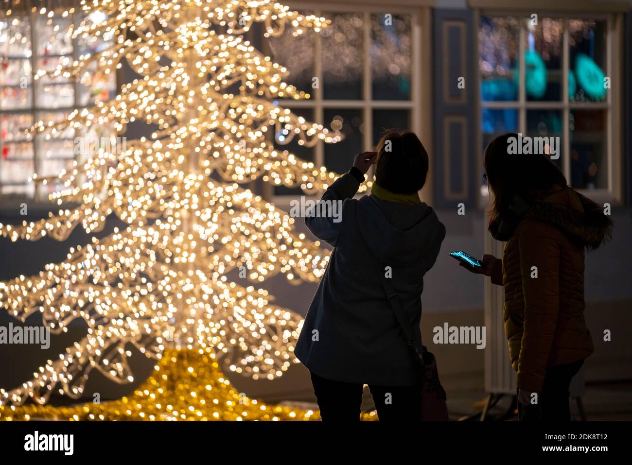 Tree of lights, Christmas tree with many lights, on Kennedyplatz, Essen ...