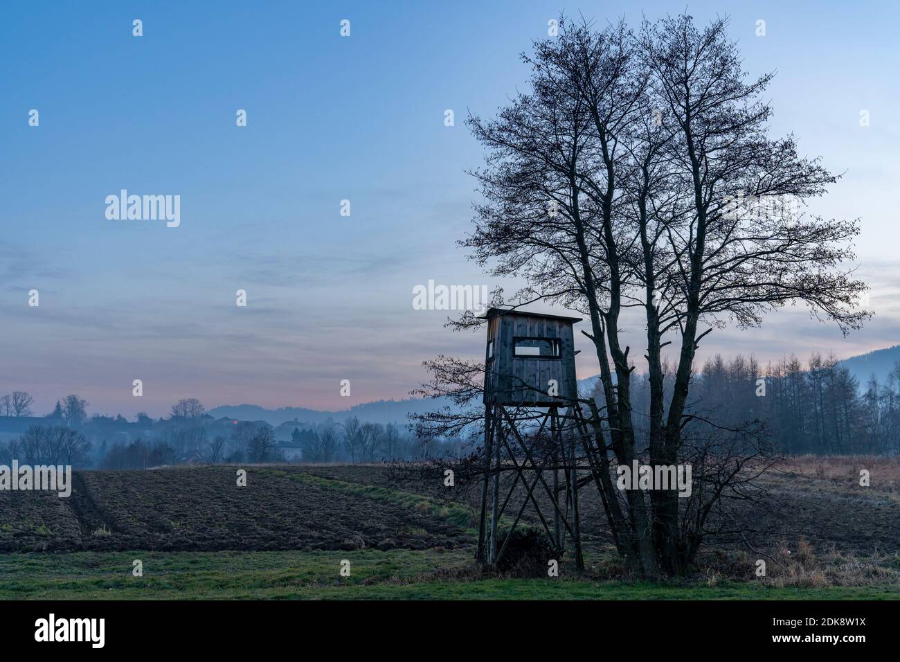 The hunter's tower hidden behind a tree Stock Photo - Alamy