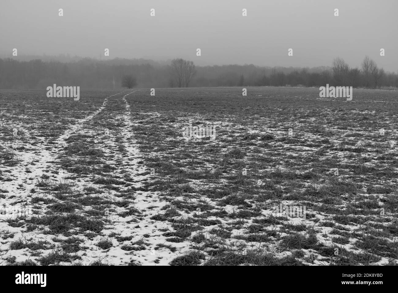 A dirt road through a hazy field of frosted grass Stock Photo - Alamy