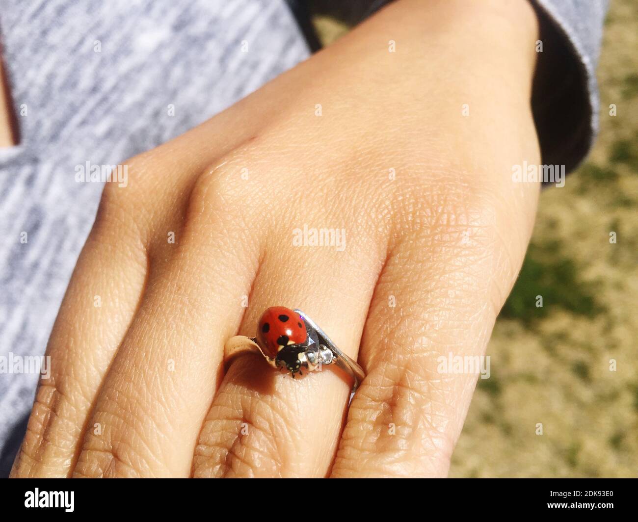 Ladybug costume hi-res stock photography and images - Alamy