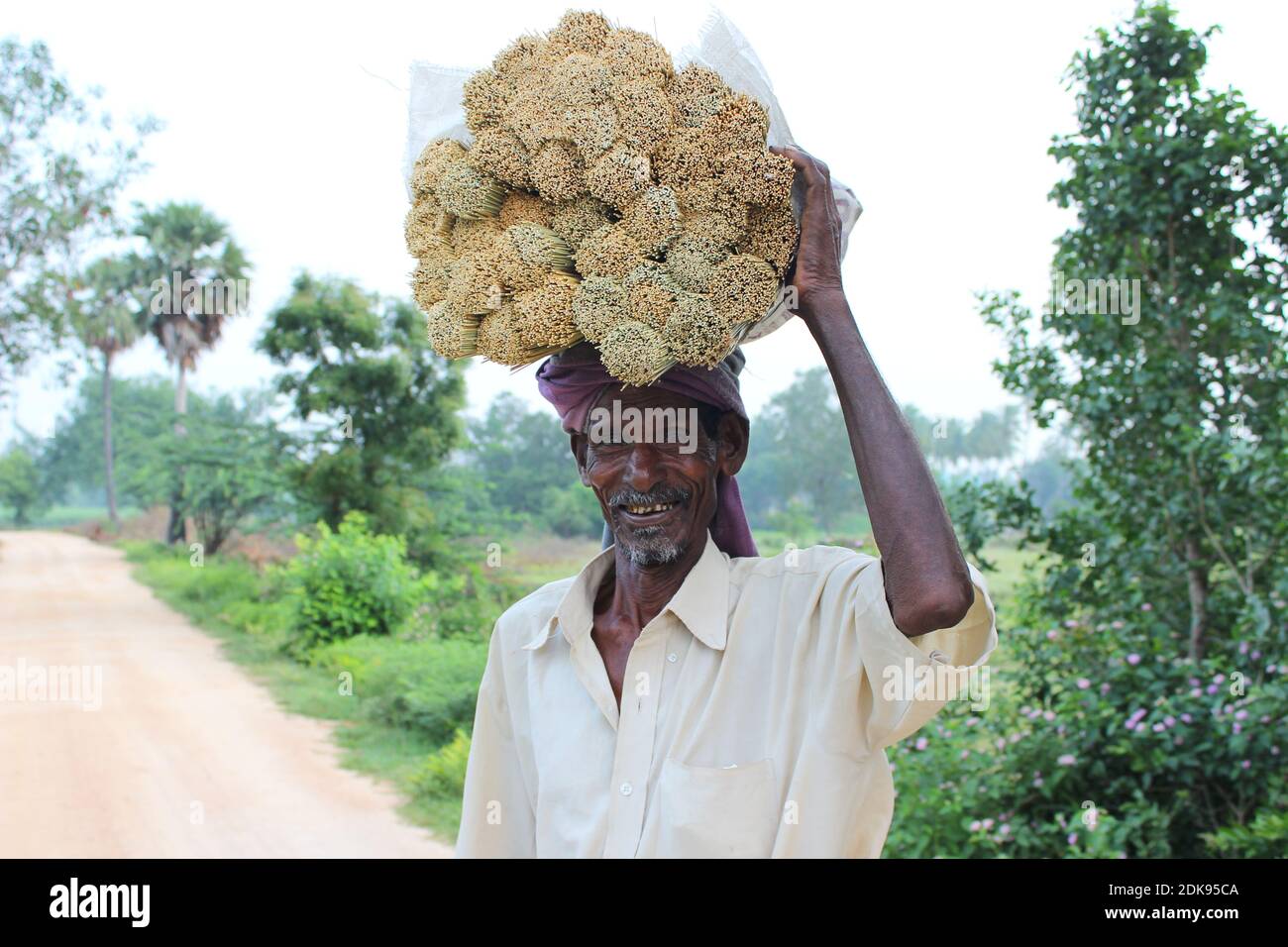 Mustache Brooms High Resolution Stock Photography and Images - Alamy
