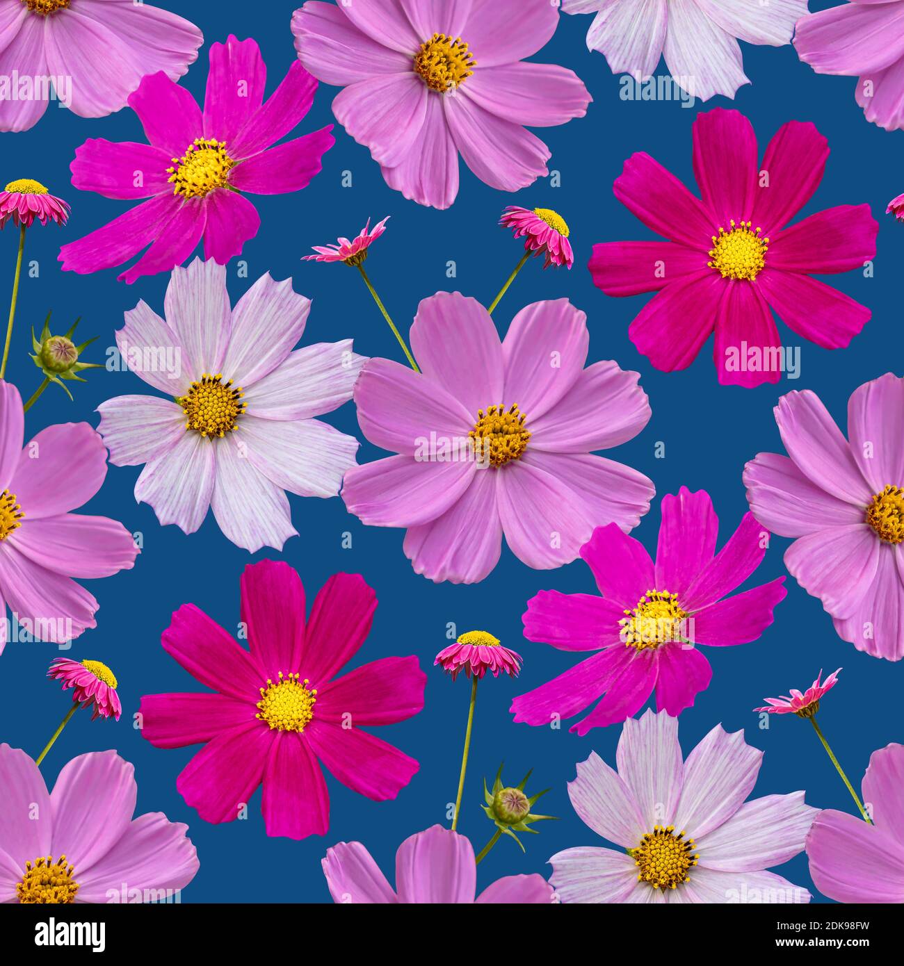 Colorful floral seamless pattern with cosmos flowers collage on blue ...