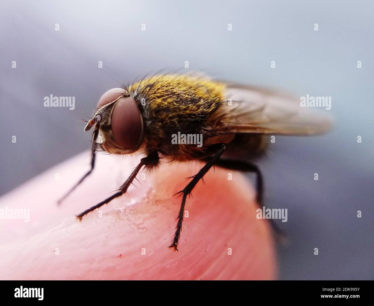 Chicopee falls hi-res stock photography and images - Alamy