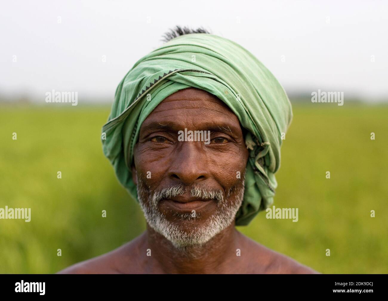 Indian rice farming hi-res stock photography and images - Alamy