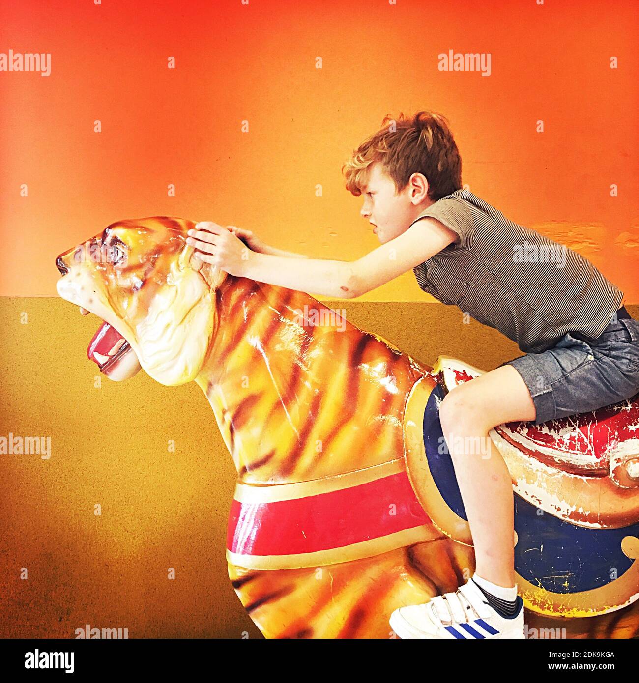 Sitting on tiger hi-res stock photography and images - Alamy