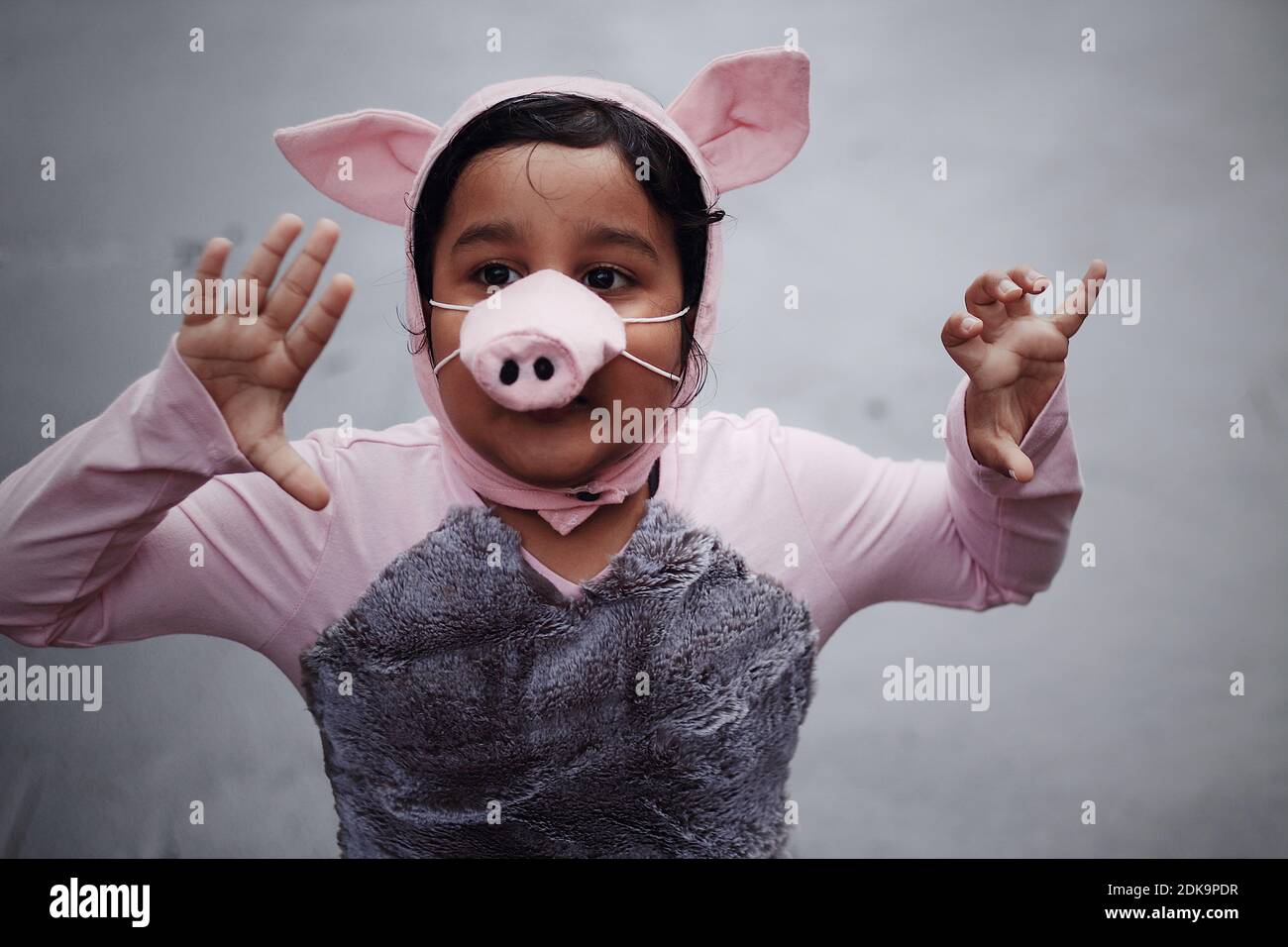 Pig wearing costume hi-res stock photography and images - Alamy