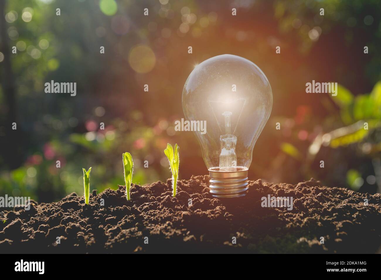 Soil Lamp High Resolution Stock Photography and Images - Alamy
