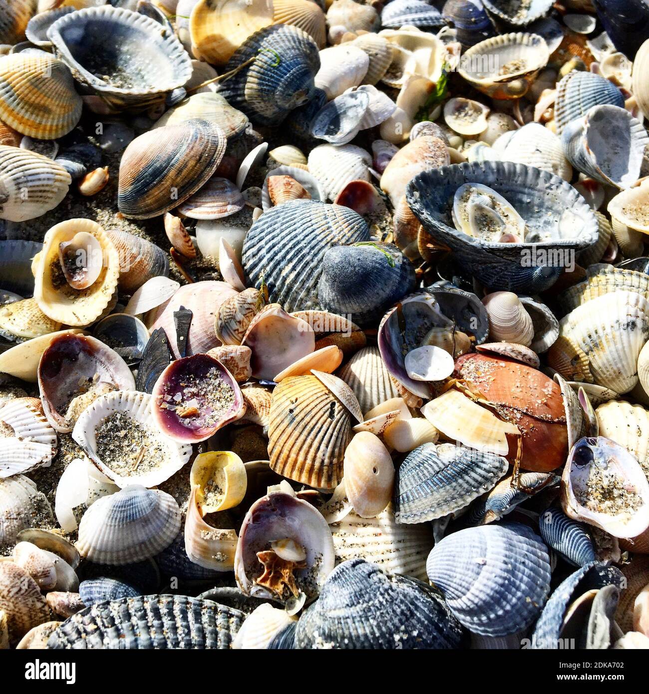 Milano marittima italy hi-res stock photography and images - Alamy