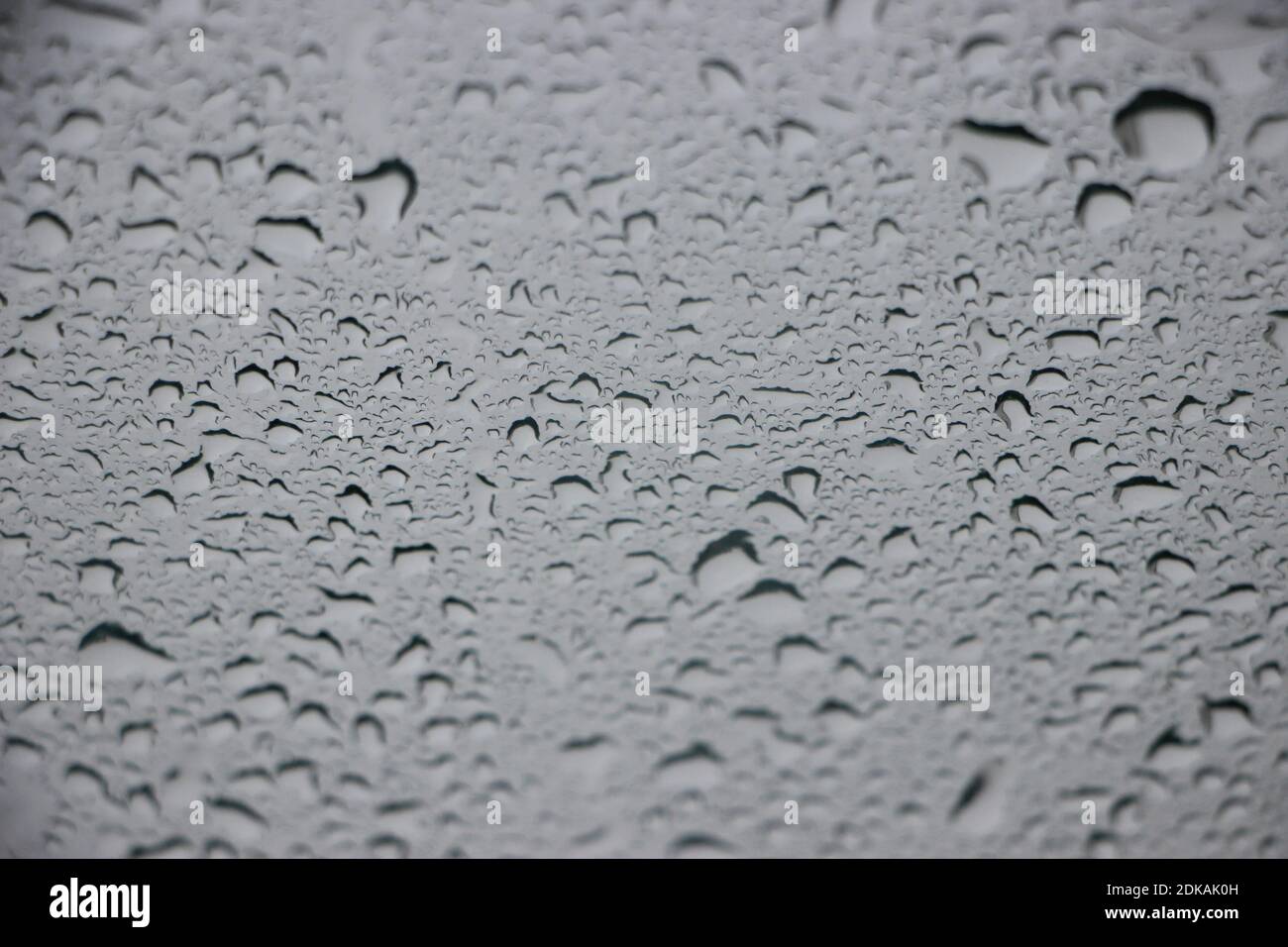Rain water drops on silver gray background. Storming weather concept ...