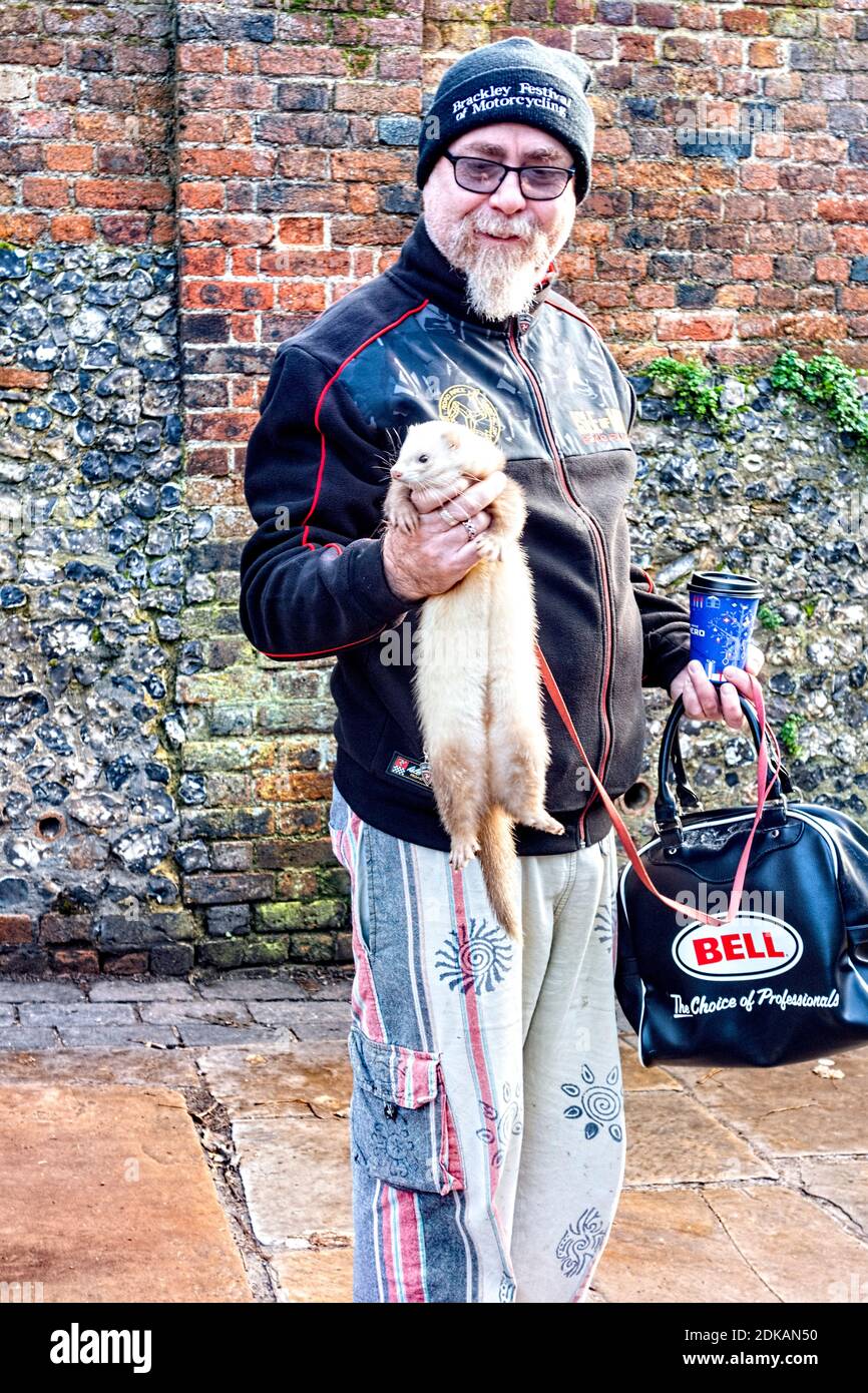 Man holding ferret Stock Photo - Alamy
