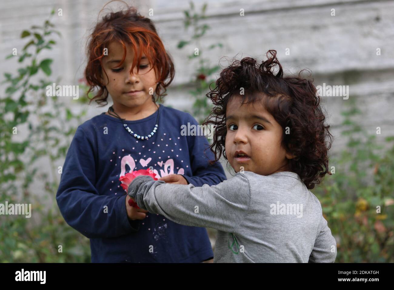 Portré hi-res stock photography and images - Alamy