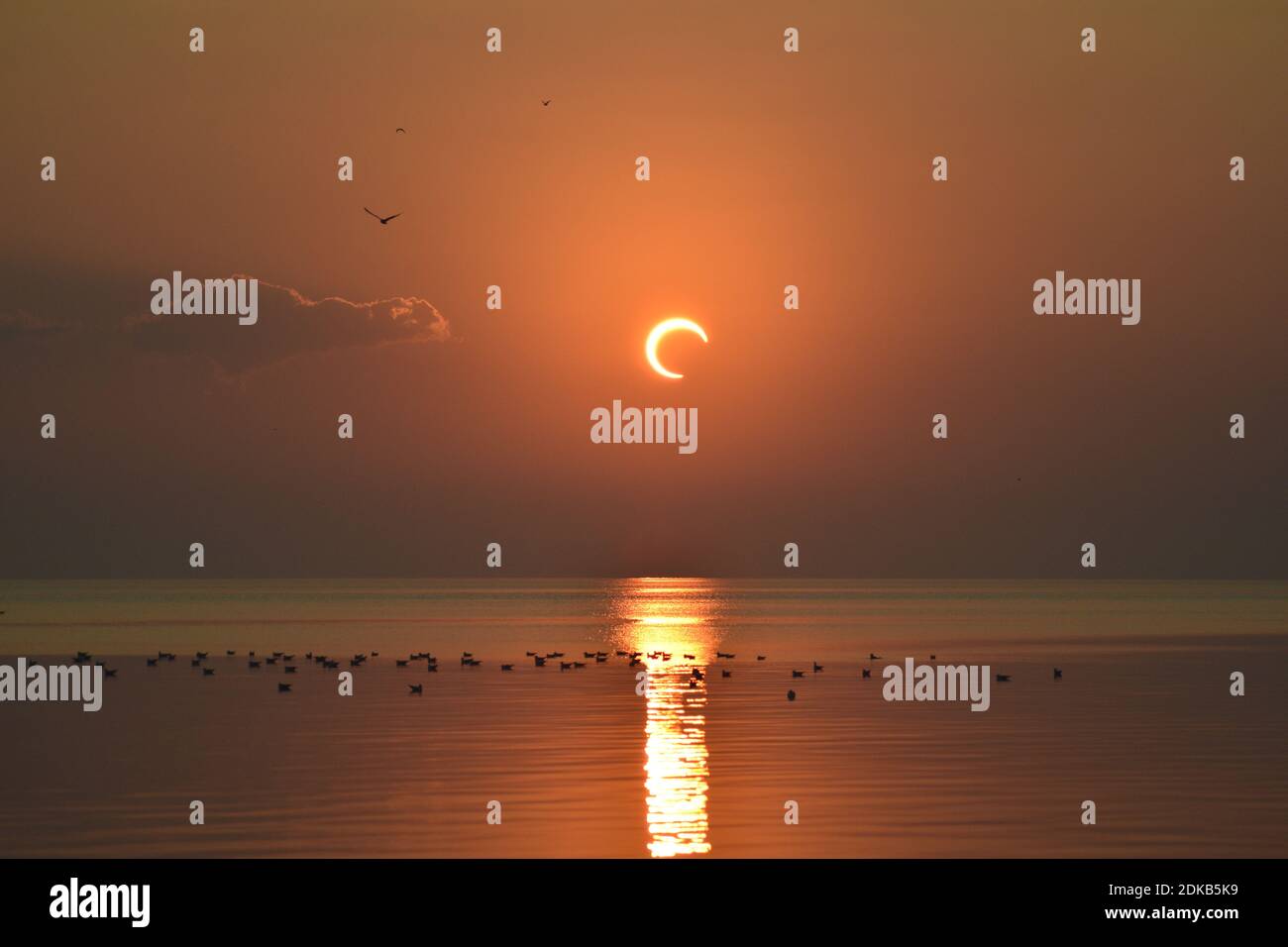 Al Khobar High Resolution Stock Photography and Images - Alamy