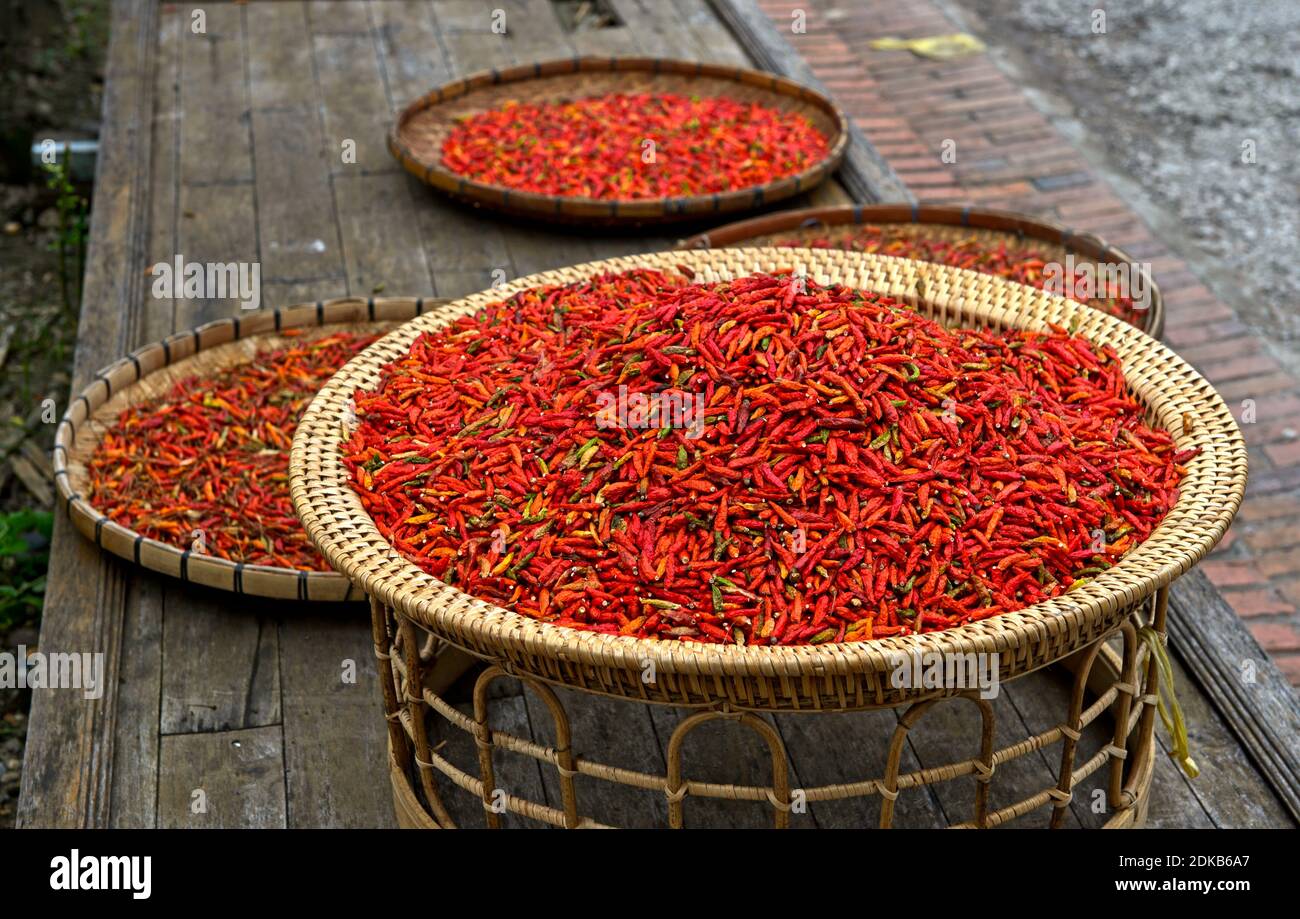 Green chili peppers for sale at market hi-res stock photography and ...