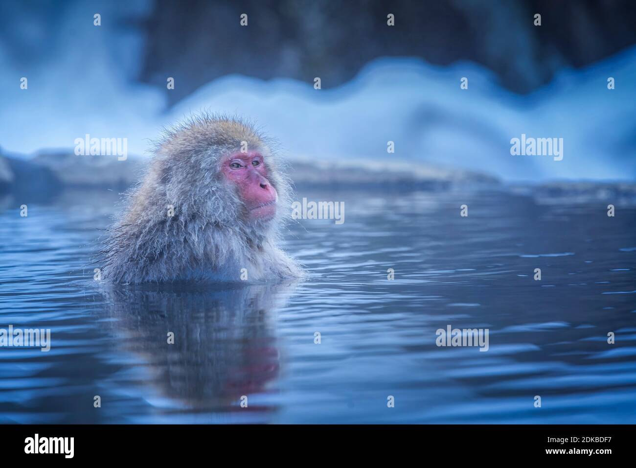 Japanese hot spring female hi-res stock photography and images - Alamy