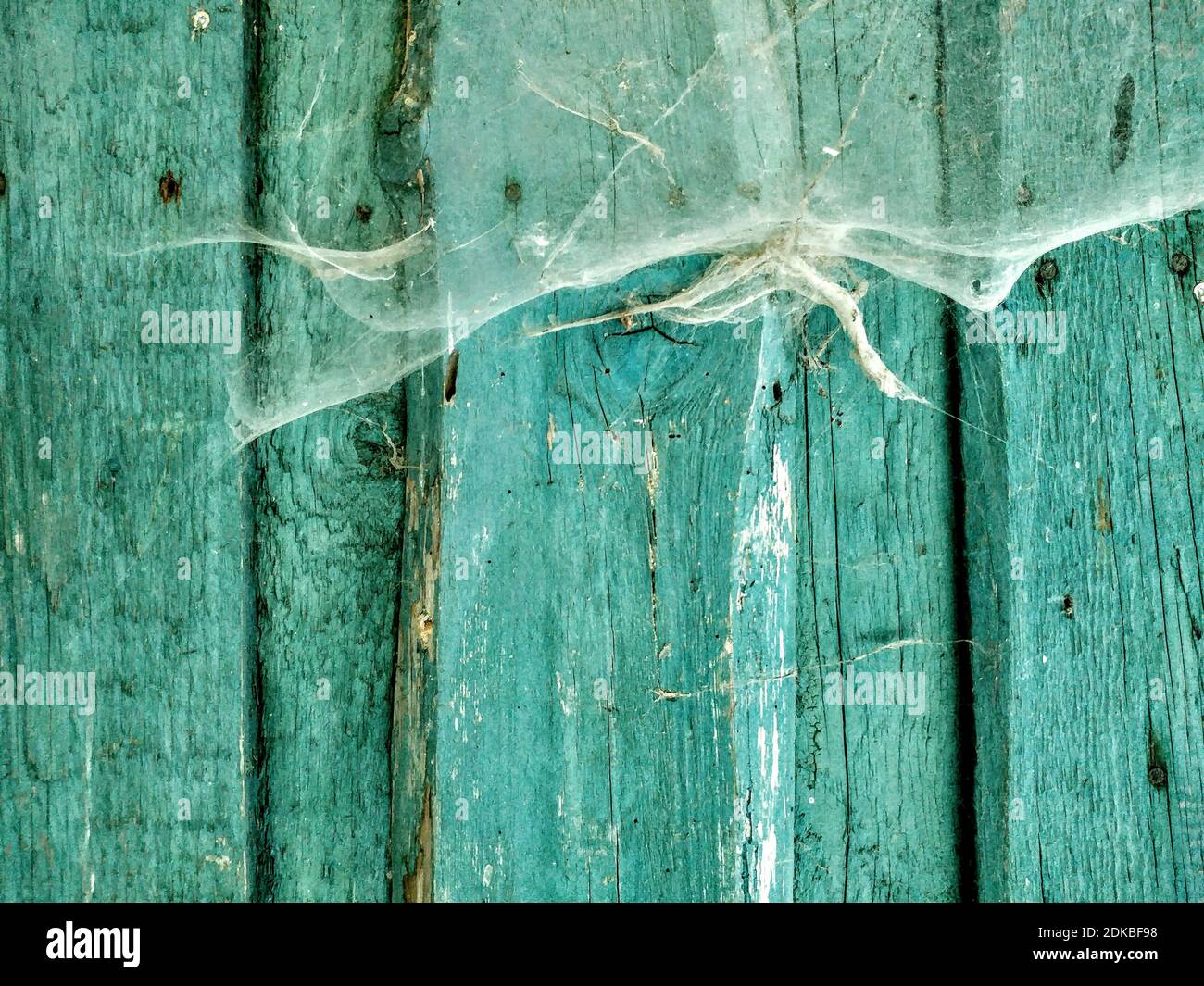 Cobbweb hi-res stock photography and images - Alamy