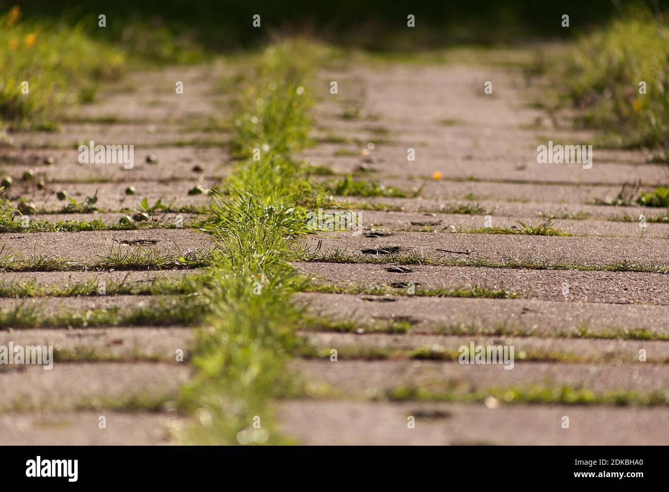 Grass overgrown hi-res stock photography and images - Alamy