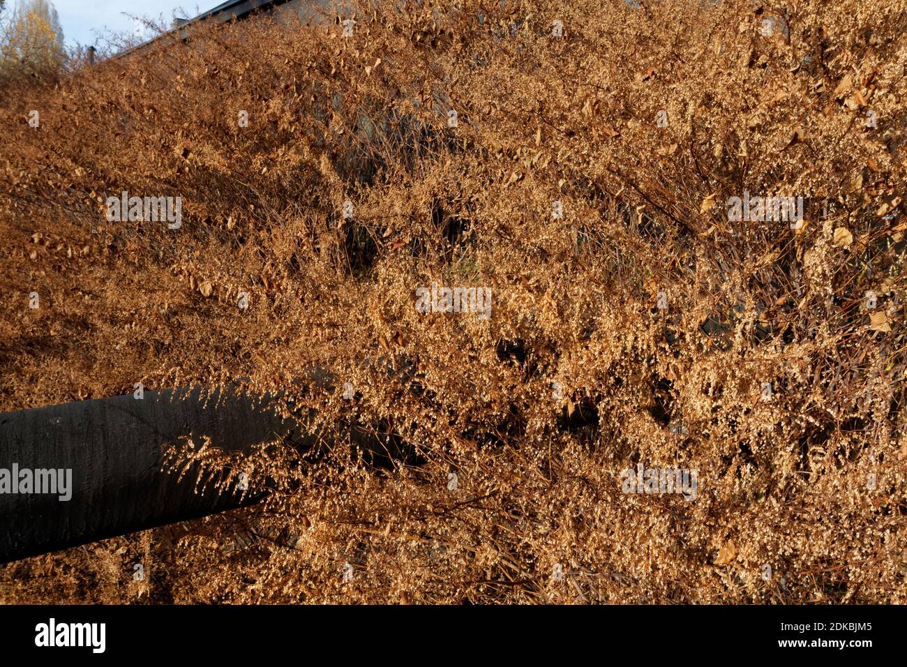 Rawa river hi-res stock photography and images - Alamy