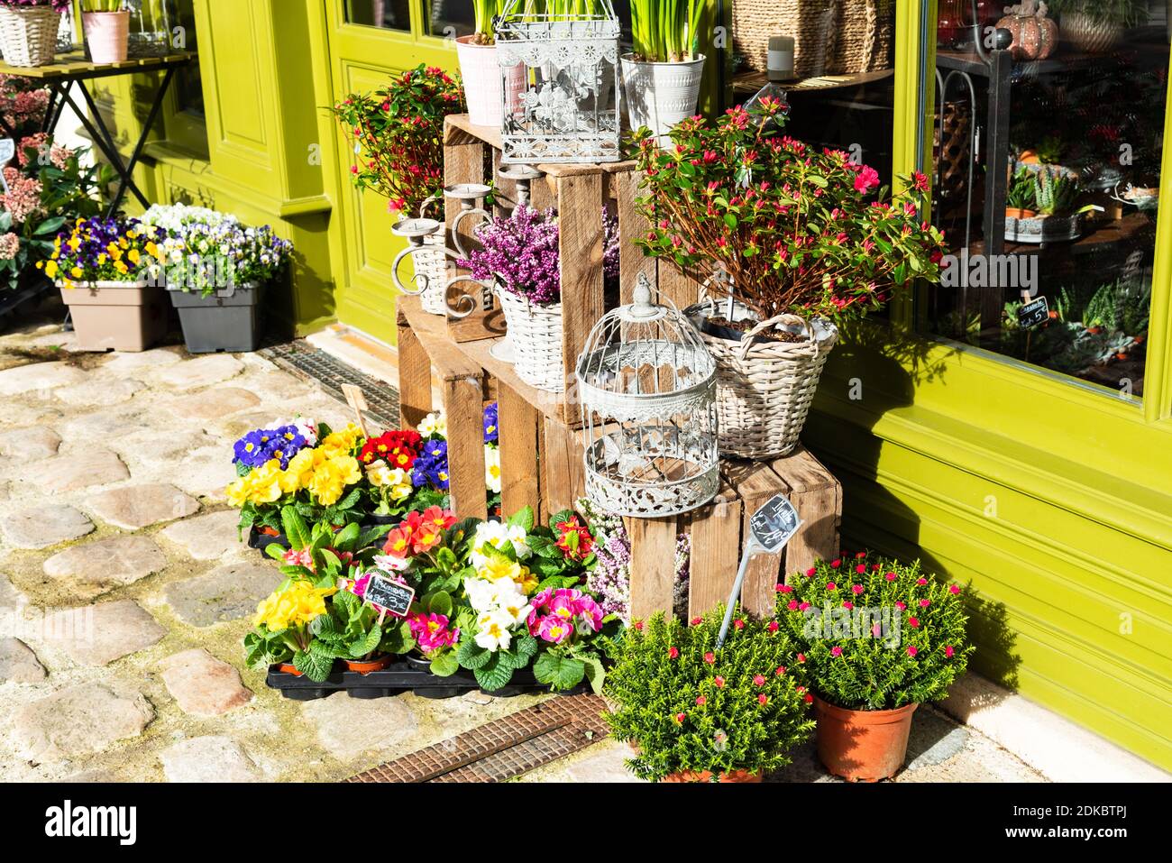 Outside typical French flowers shop. France. Spring gardening season ...