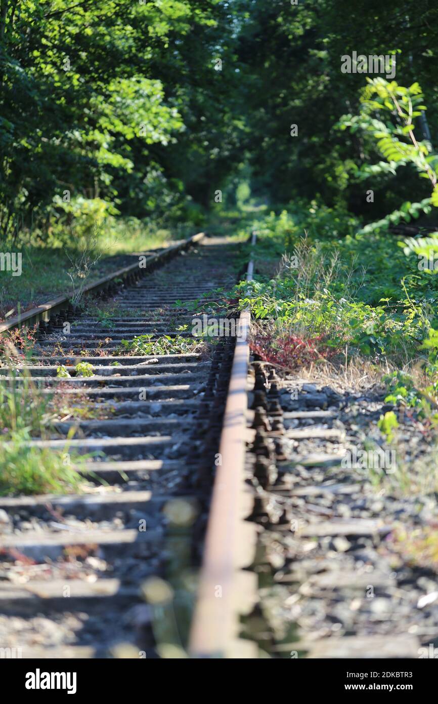 Overgrown railroad tracks Stock Photo - Alamy
