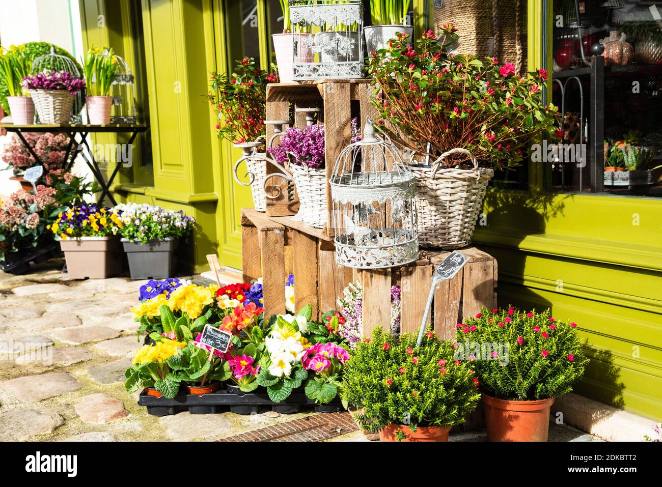 Outside typical French flowers shop. France. Spring gardening season ...
