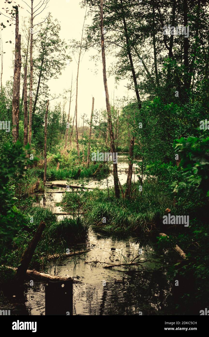 Riverside grass hi-res stock photography and images - Alamy