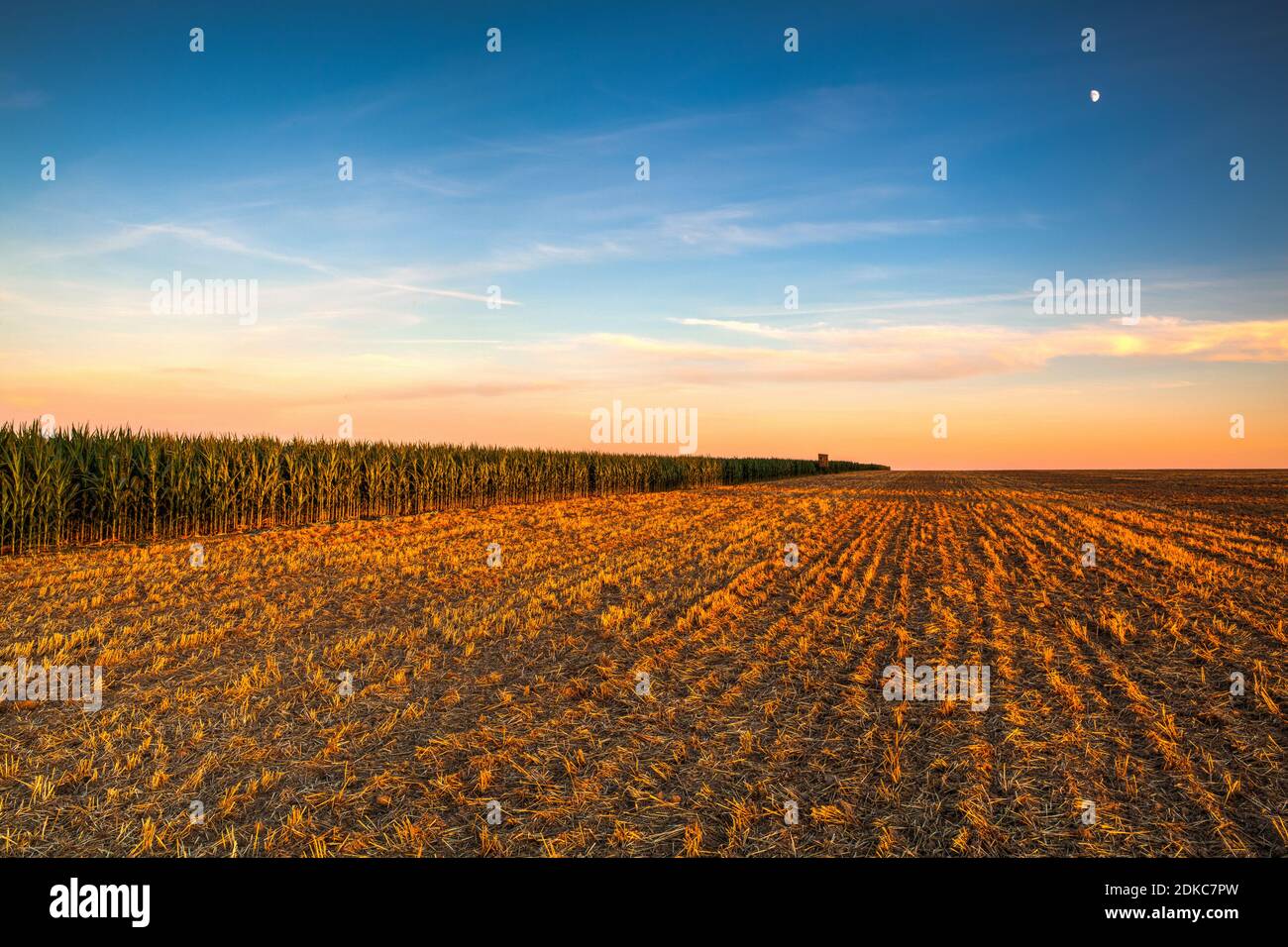 Lookout tower between corn field and empty field after harvesting ...