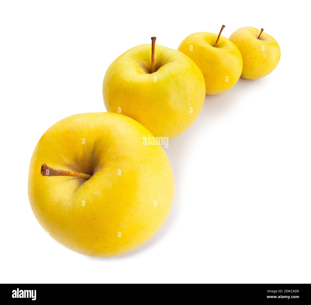 yellow apple path isolated on white Stock Photo - Alamy
