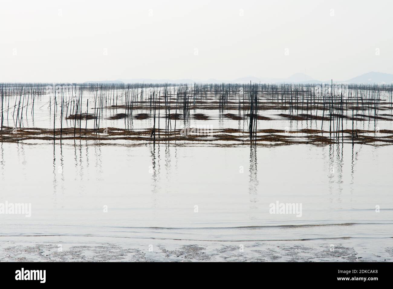 Kelp farm hi-res stock photography and images - Alamy