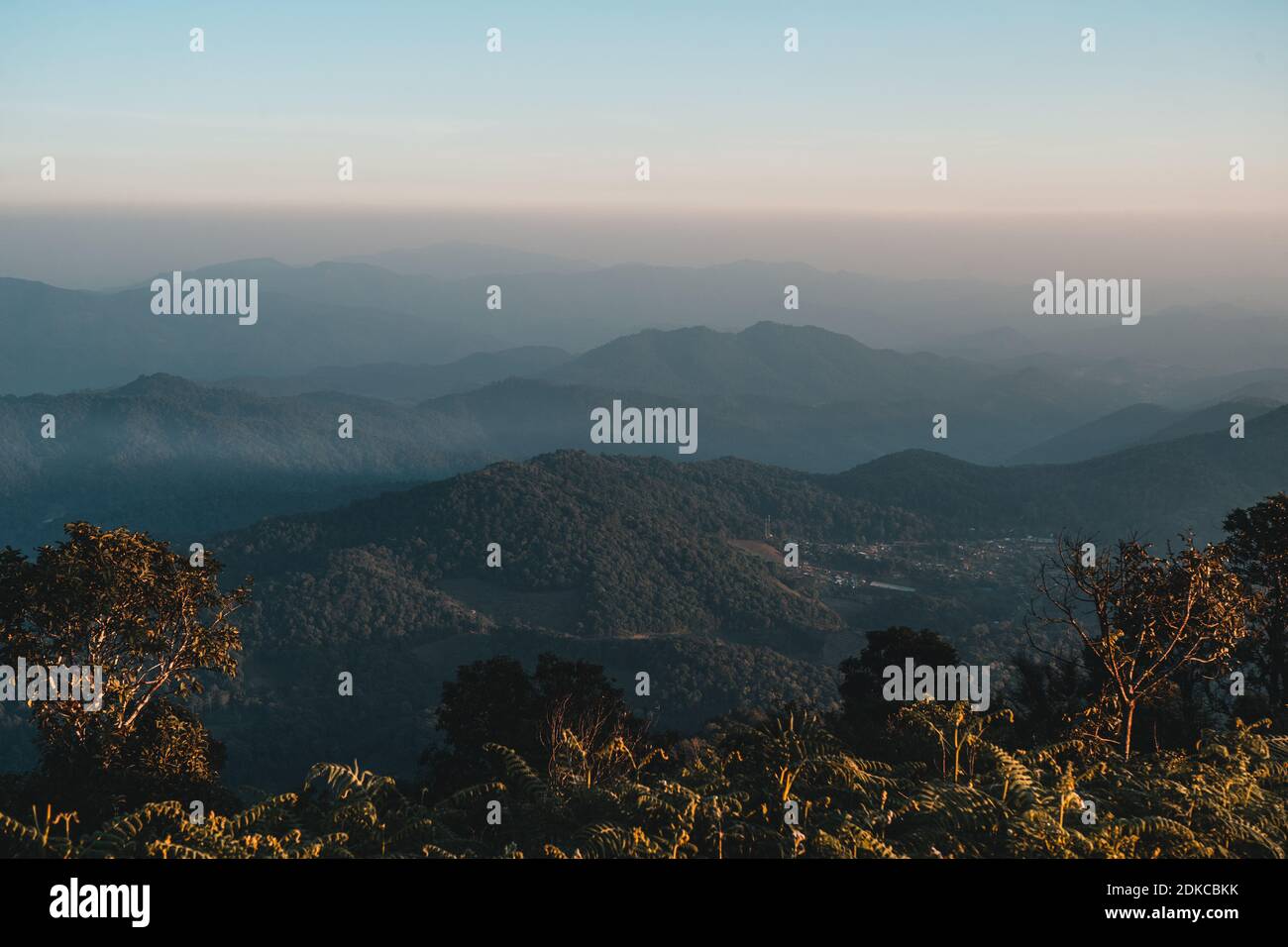 On the hill,Mountain forest view in the evening Stock Photo - Alamy