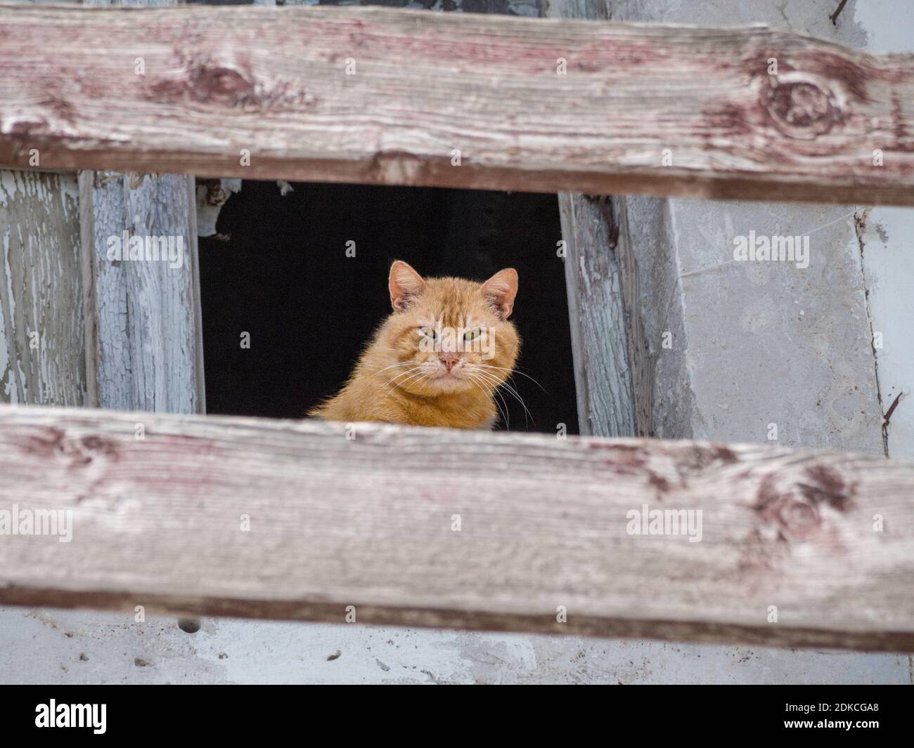 Crack themes hi-res stock photography and images - Alamy