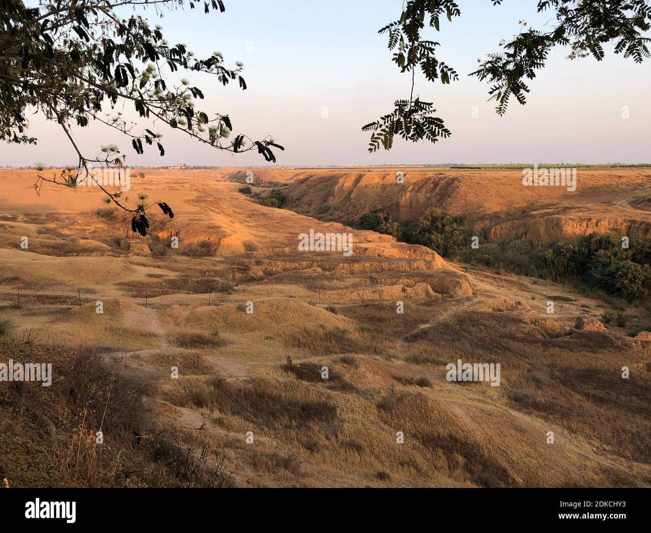 Israeli wilderness hi-res stock photography and images - Alamy
