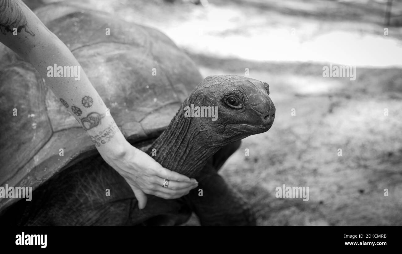 Wildlife touching Black and White Stock Photos & Images - Alamy