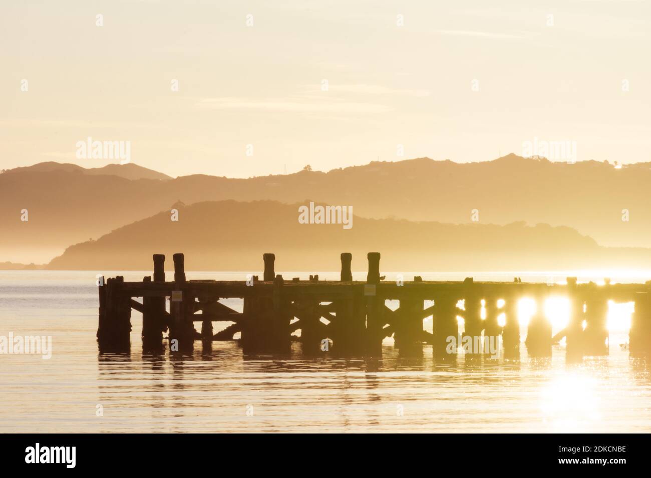 Wellington days bay hi-res stock photography and images - Alamy