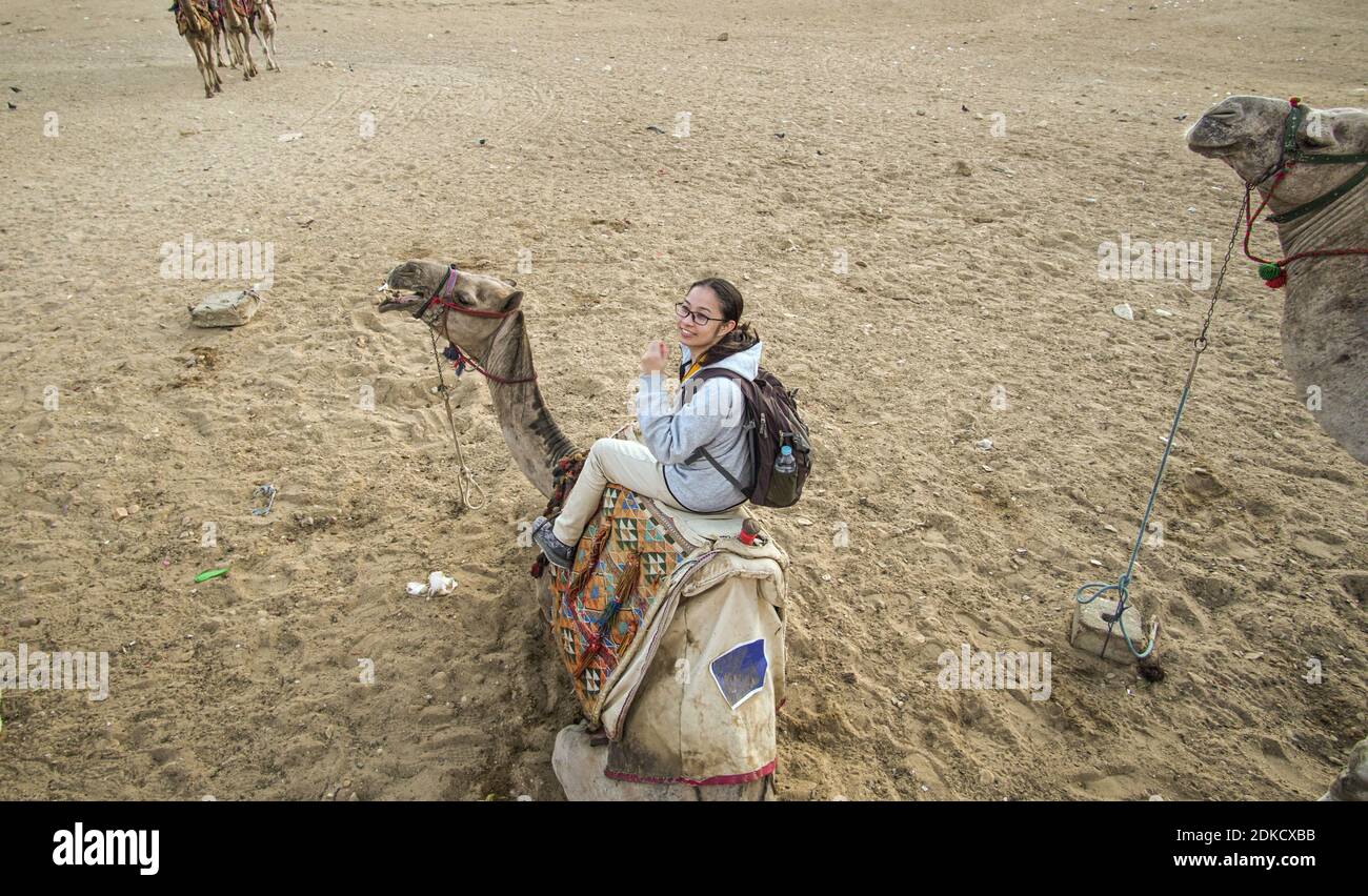 Egypt woman riding beach camel tourist hi-res stock photography and ...