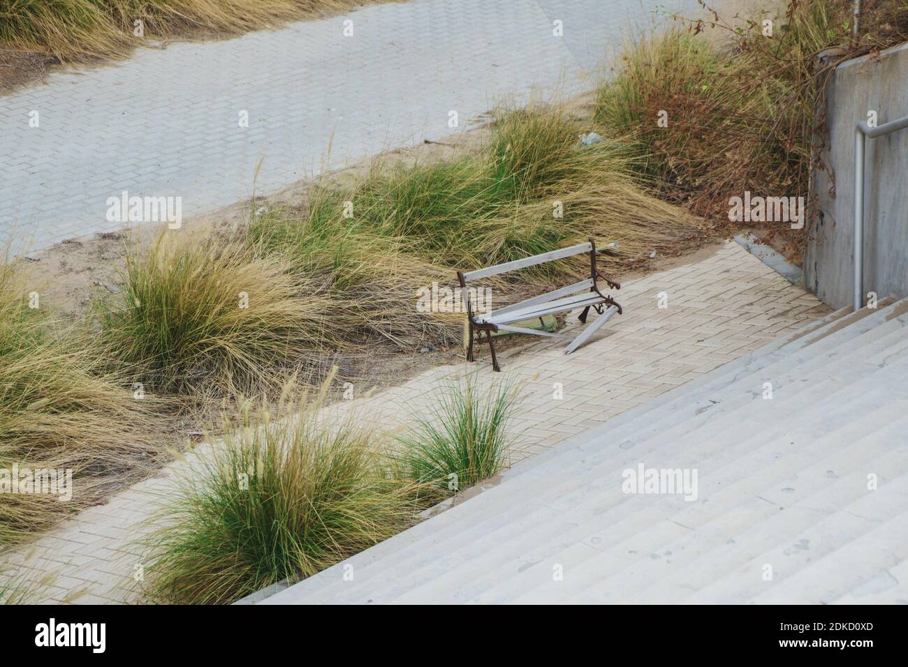 Abandoned Broken Bench In The Grass Stock Photo - Alamy