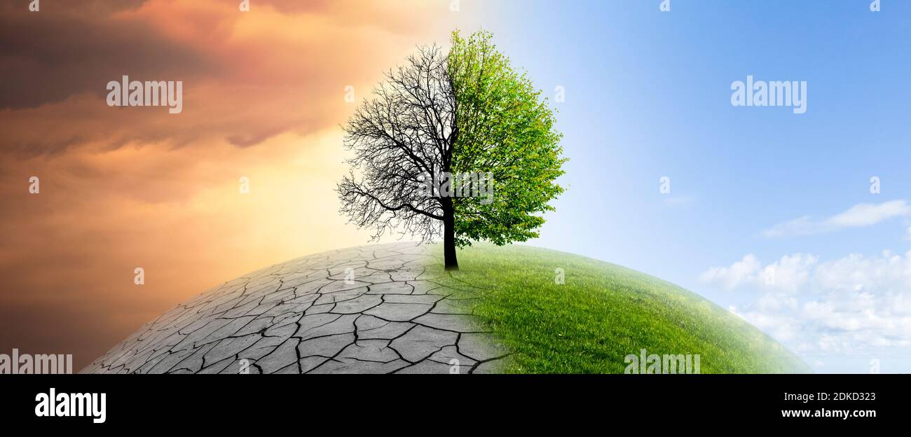 Climate change tree symbol hi-res stock photography and images - Alamy