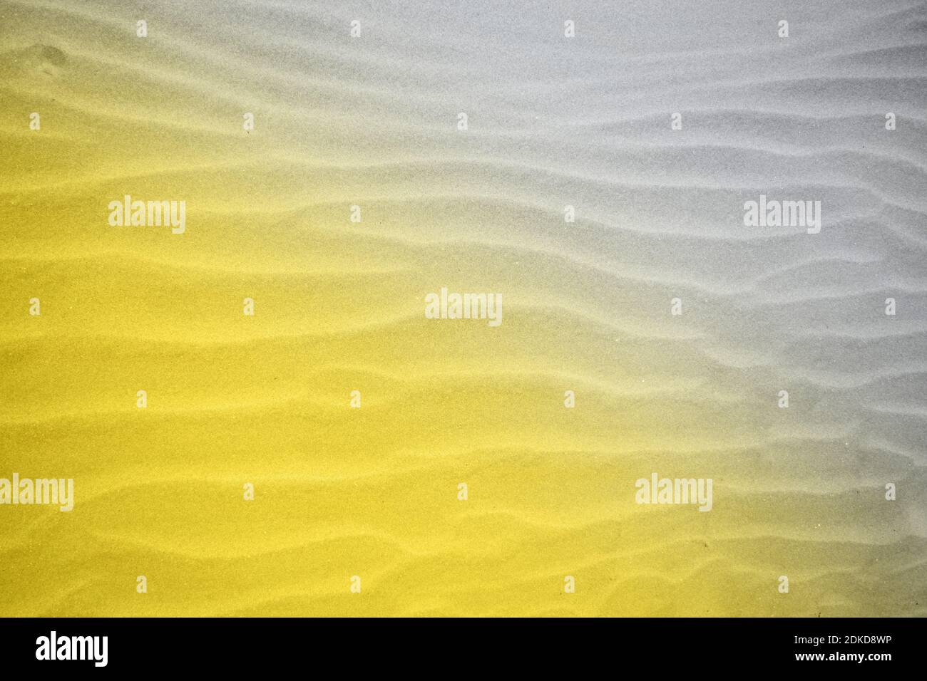 The texture sandy surface with a wavy surface formed by wind sand in ...