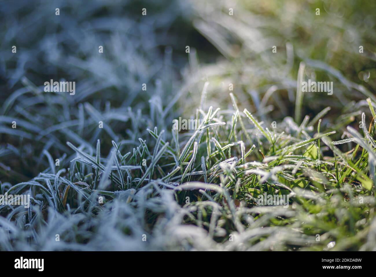 A high angle shot of a ground covered with frosted lawn Stock Photo - Alamy