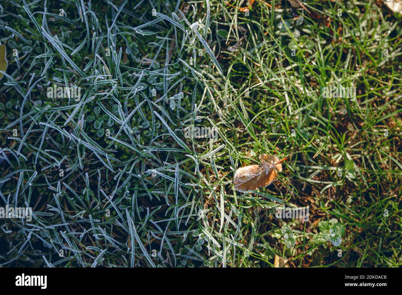 A high angle shot of a ground covered with frosted lawn Stock Photo - Alamy