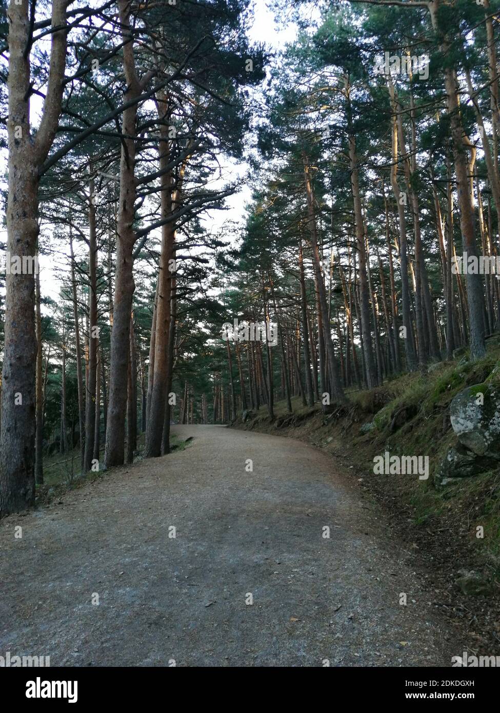 Vertical shot walkway through hi-res stock photography and images - Alamy