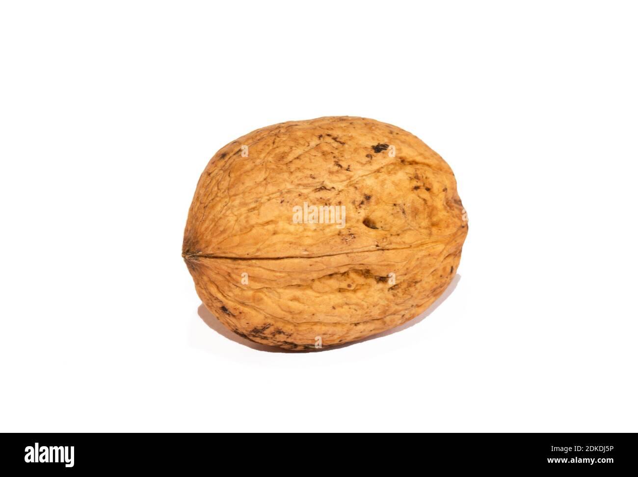 Walnut ripe hi-res stock photography and images - Alamy