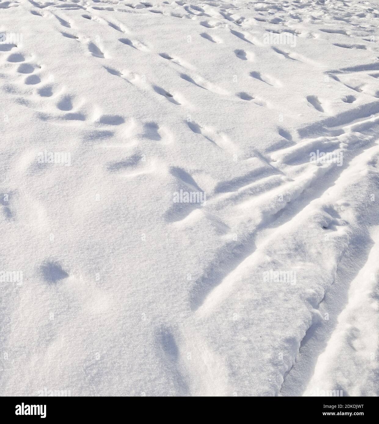 Icy fresh snow mound hi-res stock photography and images - Alamy