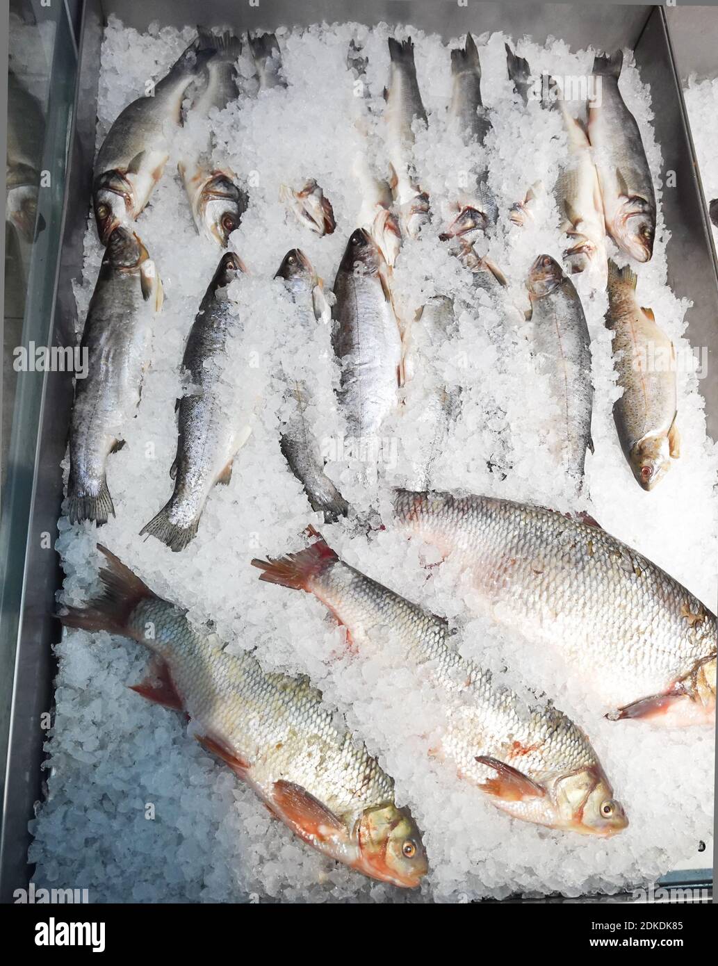 Fresh fish in a shop Stock Photo - Alamy